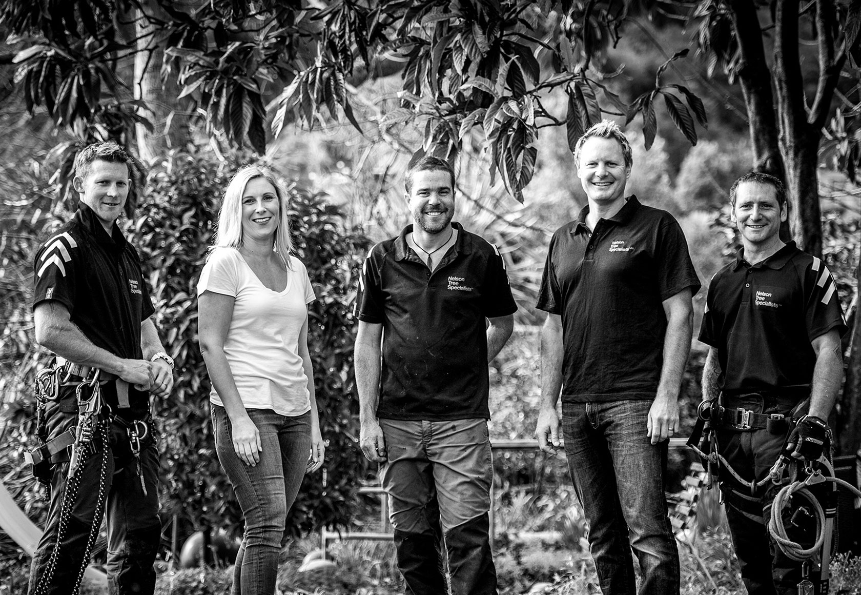 About Us | Nelson Tree Specialists